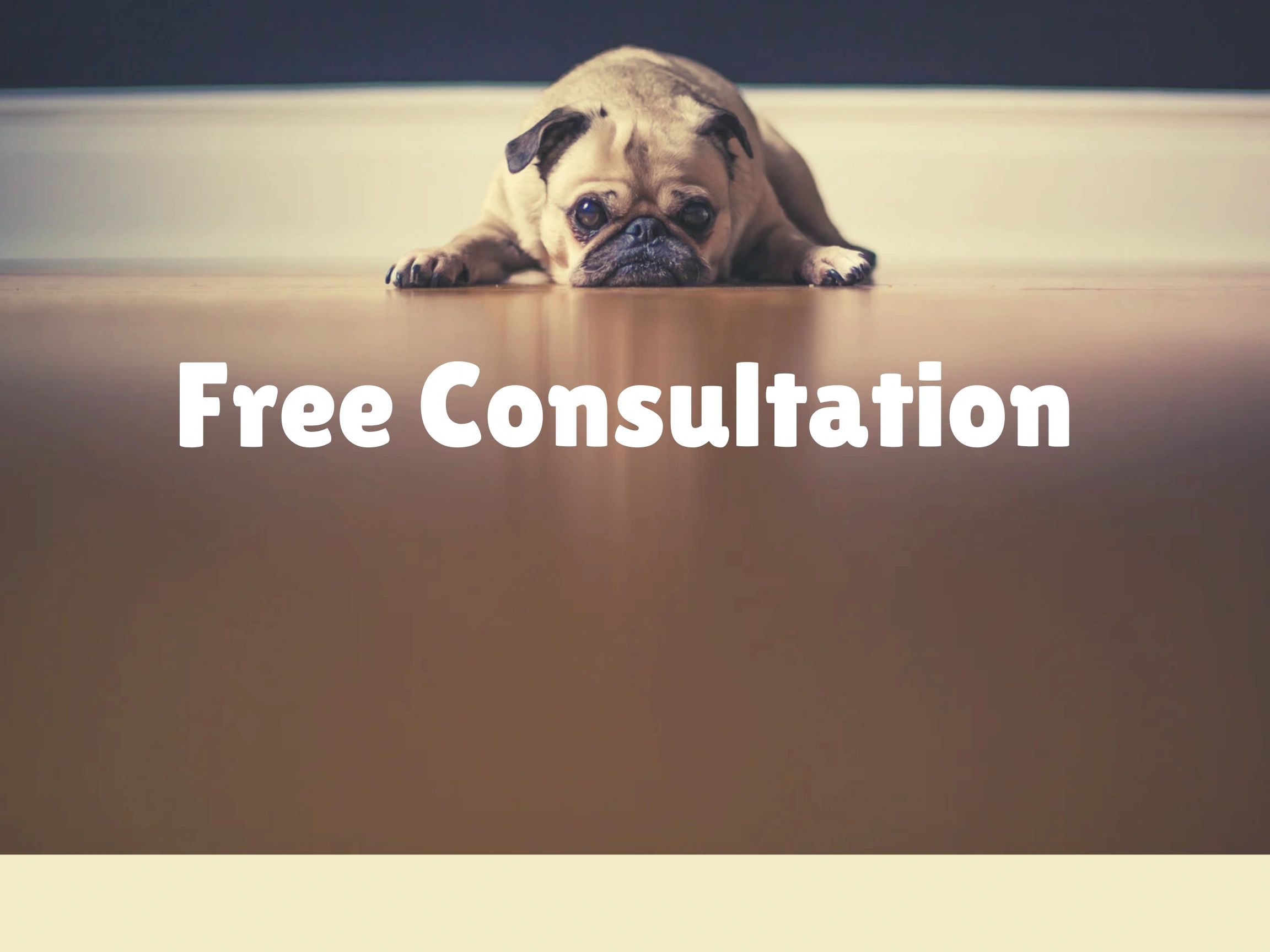 SISTA KYSS Safety Consultation